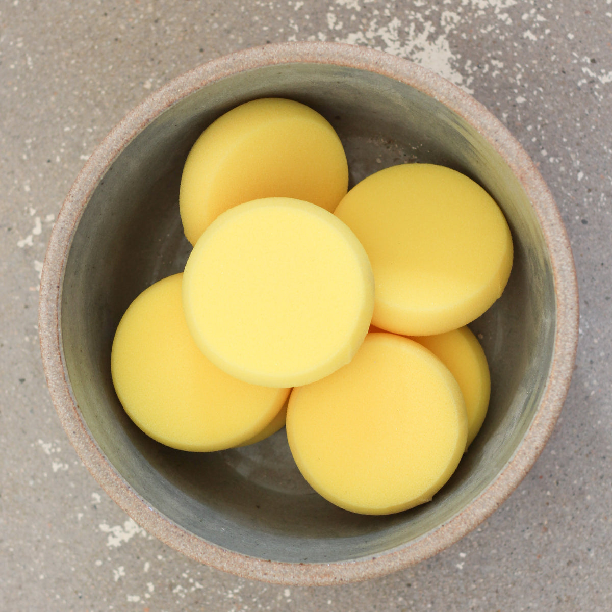 Donut Sponge-Chicago – The Pottery Studio